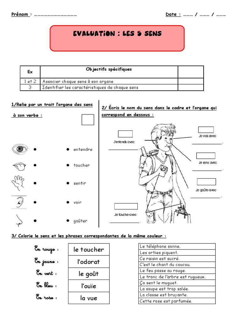 Eval 5 Sens | PDF