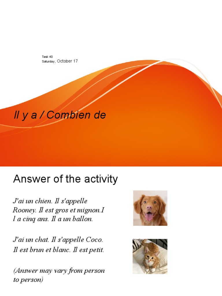 French Class 6 Task 40 | PDF