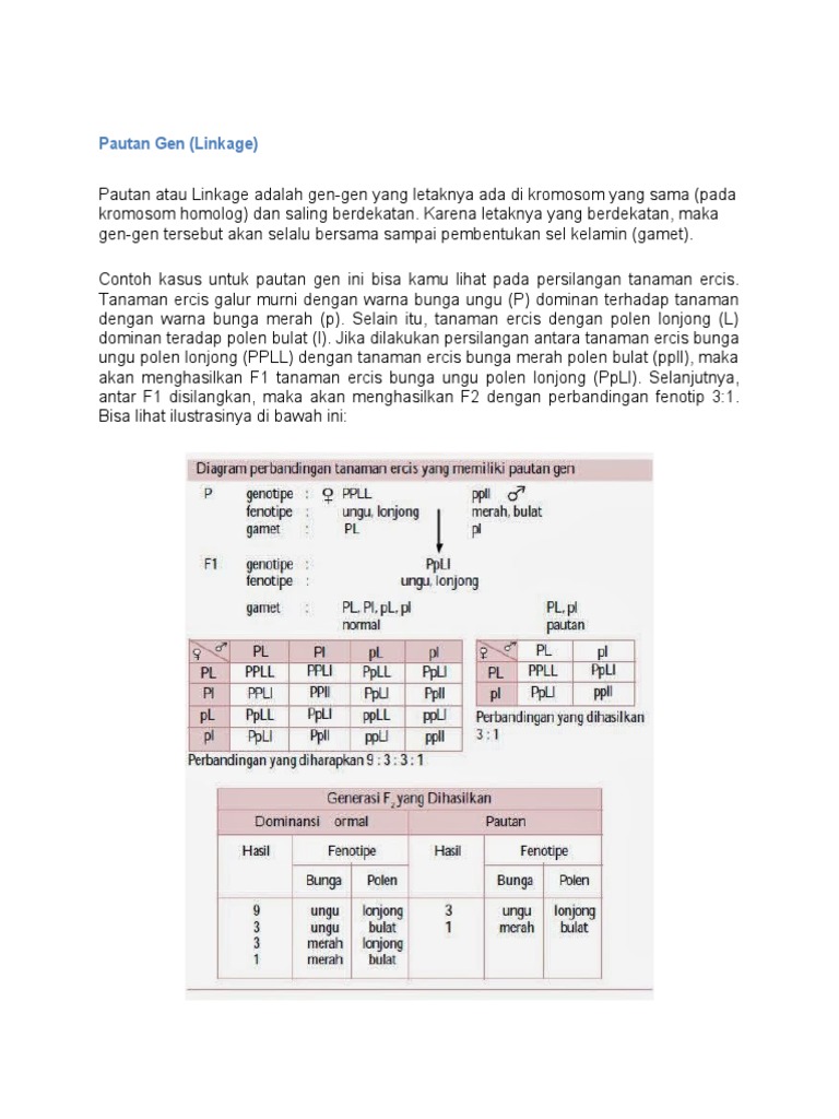 Pautan Gen dan Pindah Silang | PDF