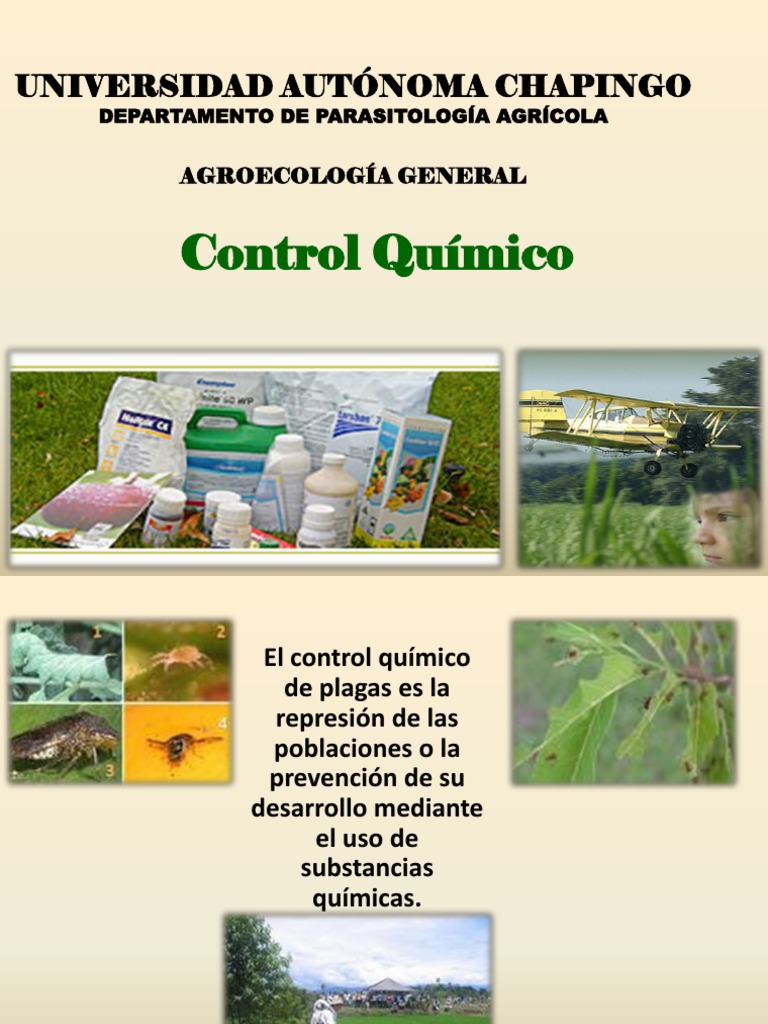 Control Quimico | PDF | Pesticida | Insecticida