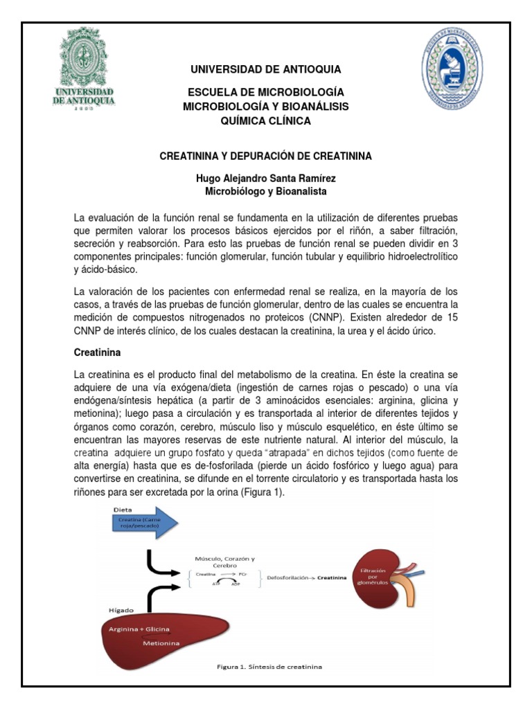 Guia LABORATORIO DE CREATININA Y DEPURACION DE CREATININA | PDF ... Guia LABORATORIO DE CREATININA Y DEPURACION DE CREATININA | PDF ...