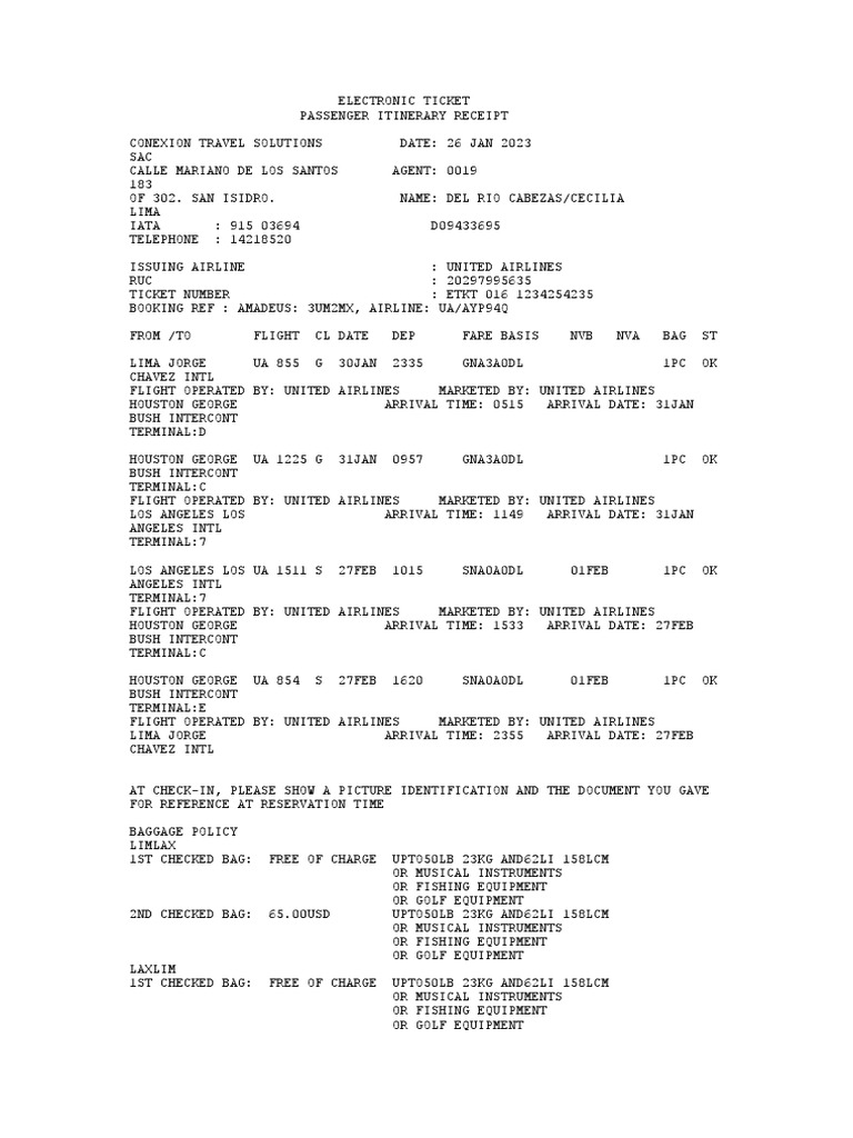 Del Rio Cabezas Cecilia United | PDF | Transport Companies | Airlines