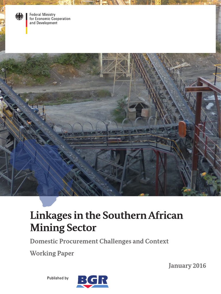 Southern African Mining Sector Linkages | PDF | Procurement | Mining
