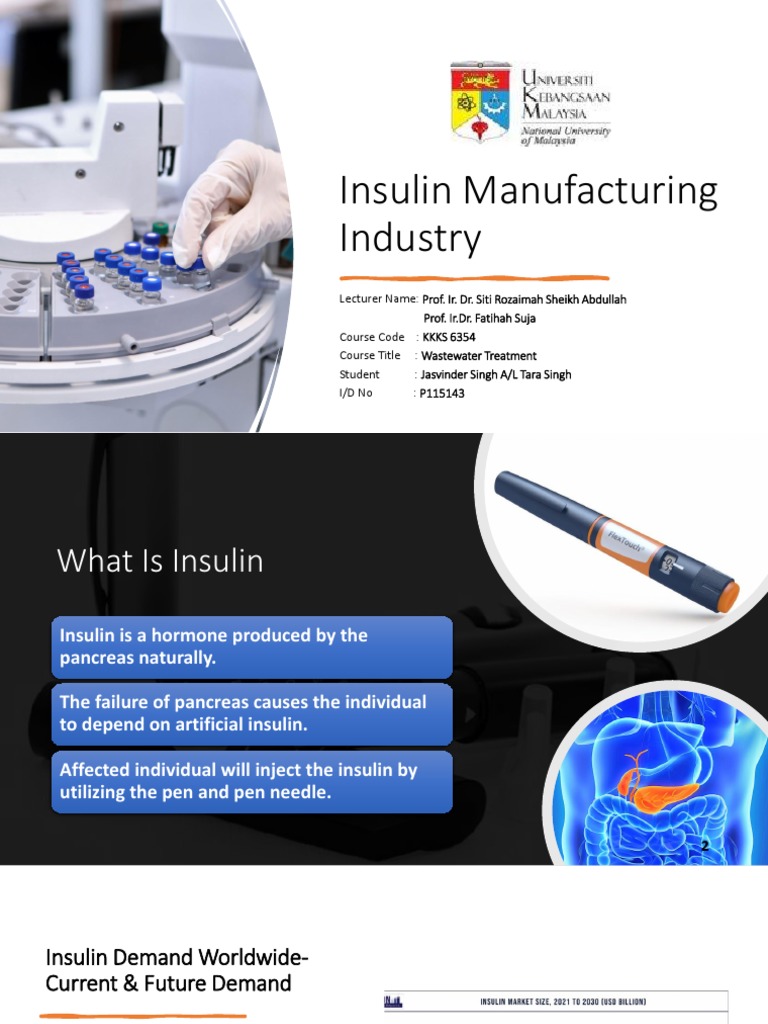 Insulin Presentation | PDF