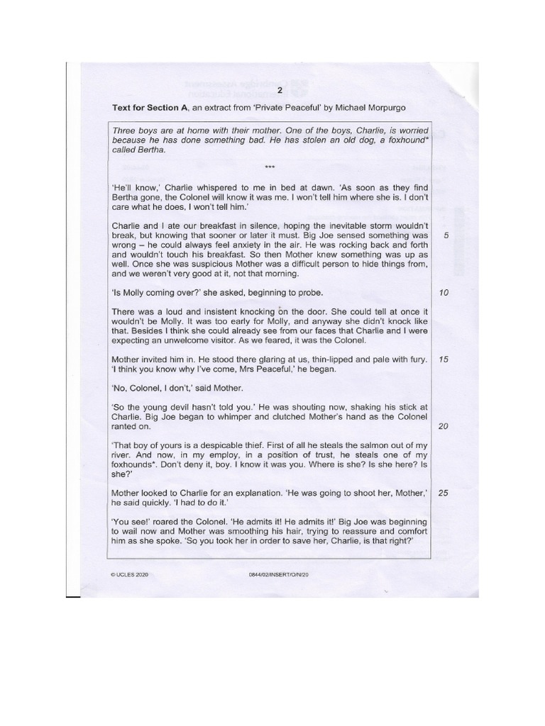 English - Private Peaceful | PDF