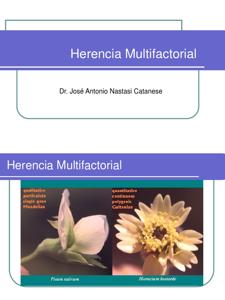 Características de la Herencia Multifactorial | PDF | Genética ...