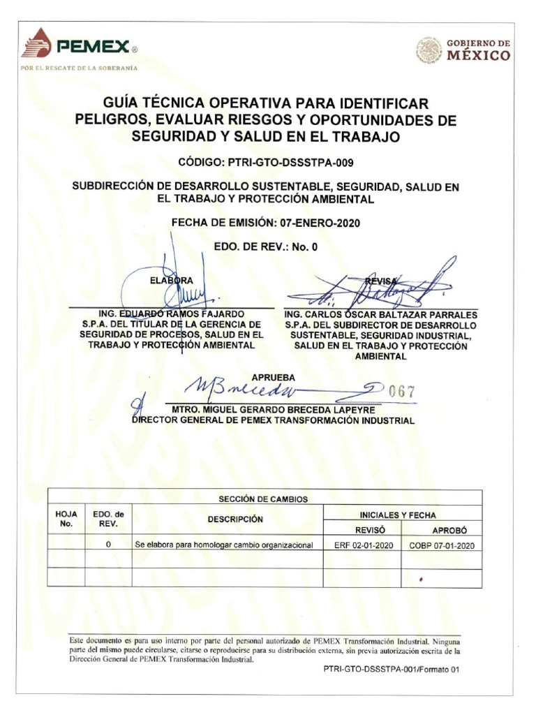 Ptri Gto Dssstpa 009 Evaluar Riesgos | PDF