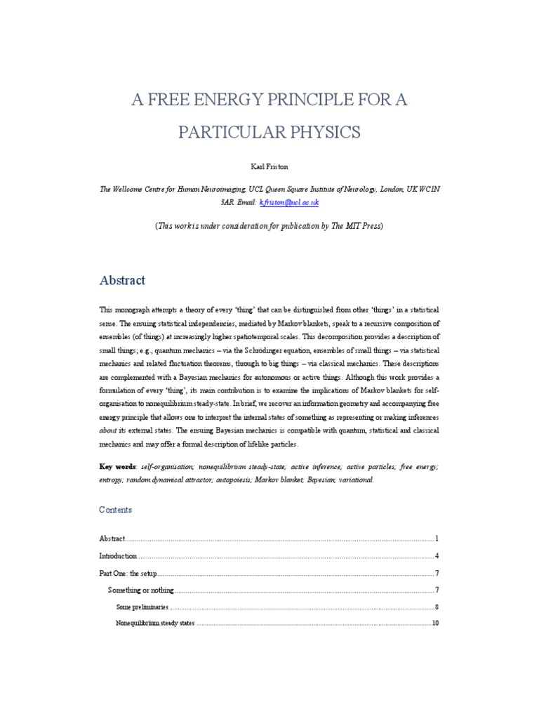 The Free Energy Principle For A Particular Physics | PDF | Quantum ...