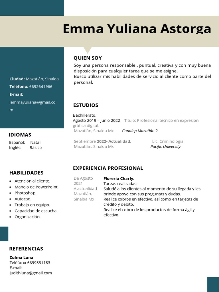 Curriculum | PDF | Crecimiento personal y profesional