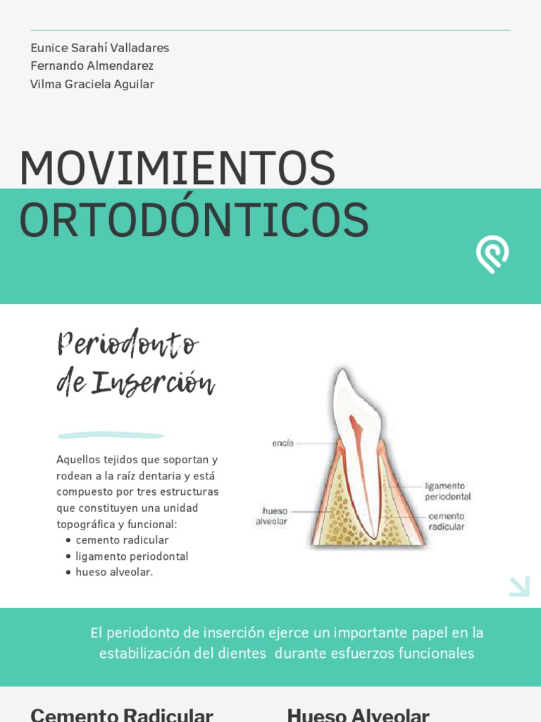 Movimientos Ortodónticos | PDF | Hueso | Especialidades Medicas