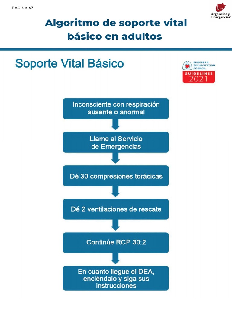 Algoritmos SVB Adultos ERC 2021 V1 | PDF