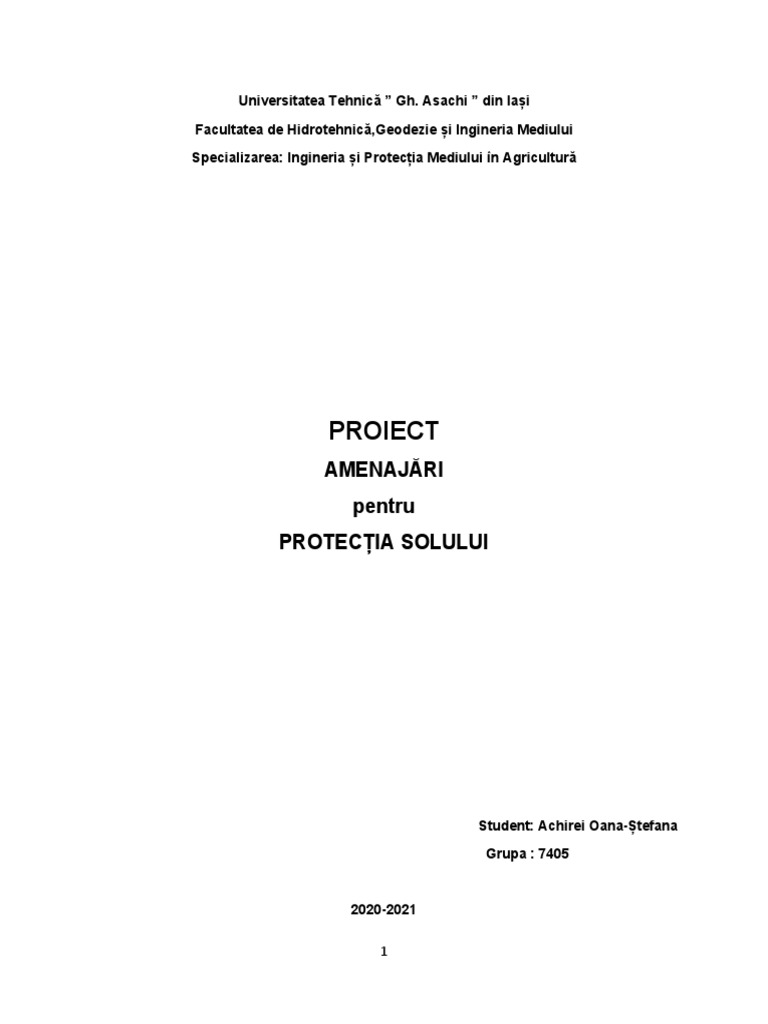 Proiect Final Bun | PDF
