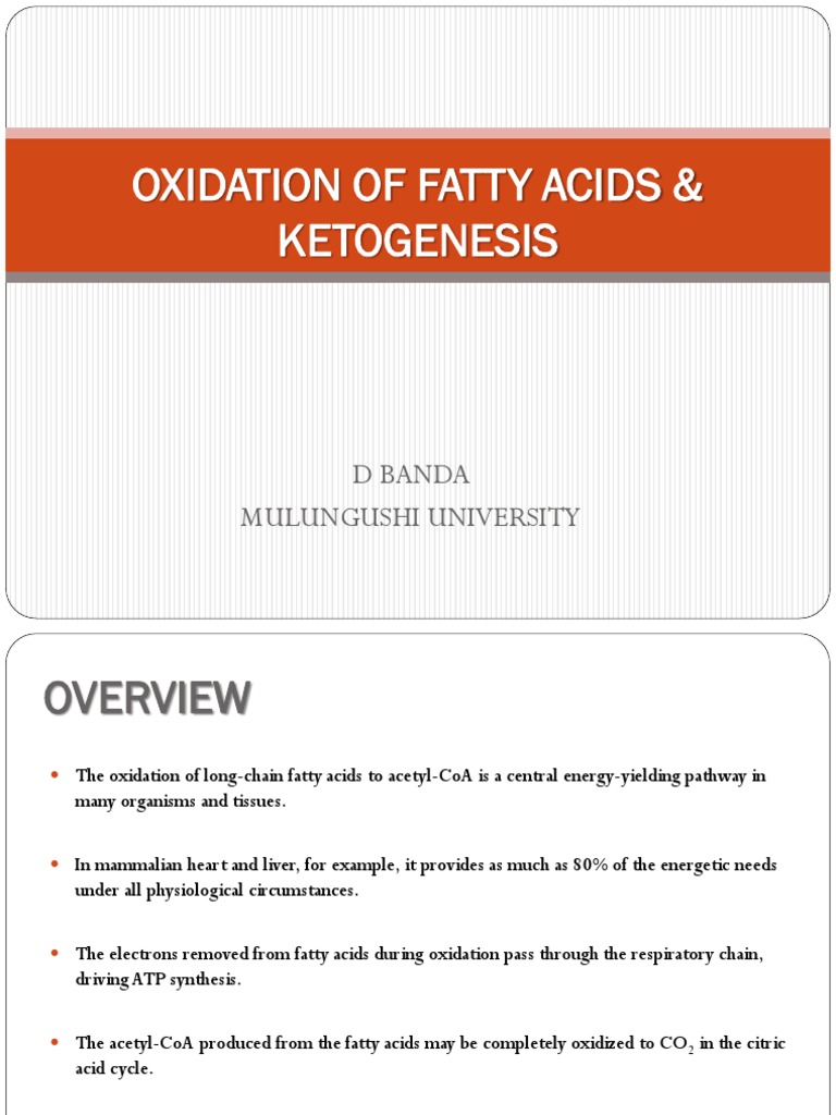 Fatty Acid Oxidation and Ketogenesis Guide | PDF | Lipoprotein ...