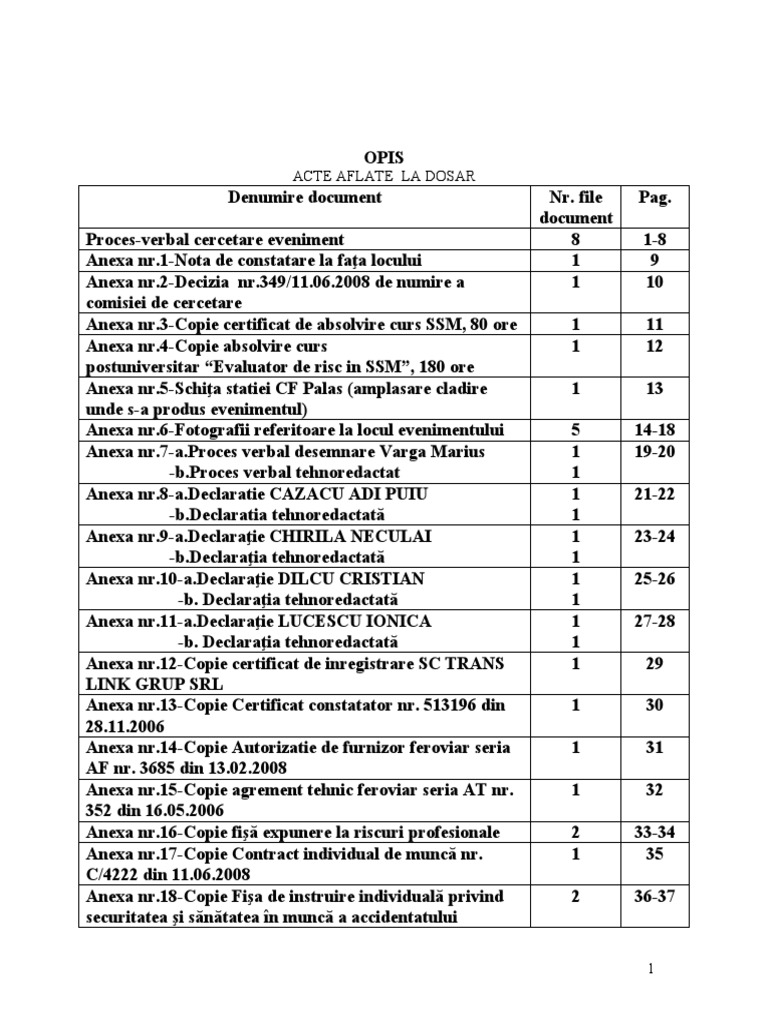 1.opis Dosar Acc. | PDF
