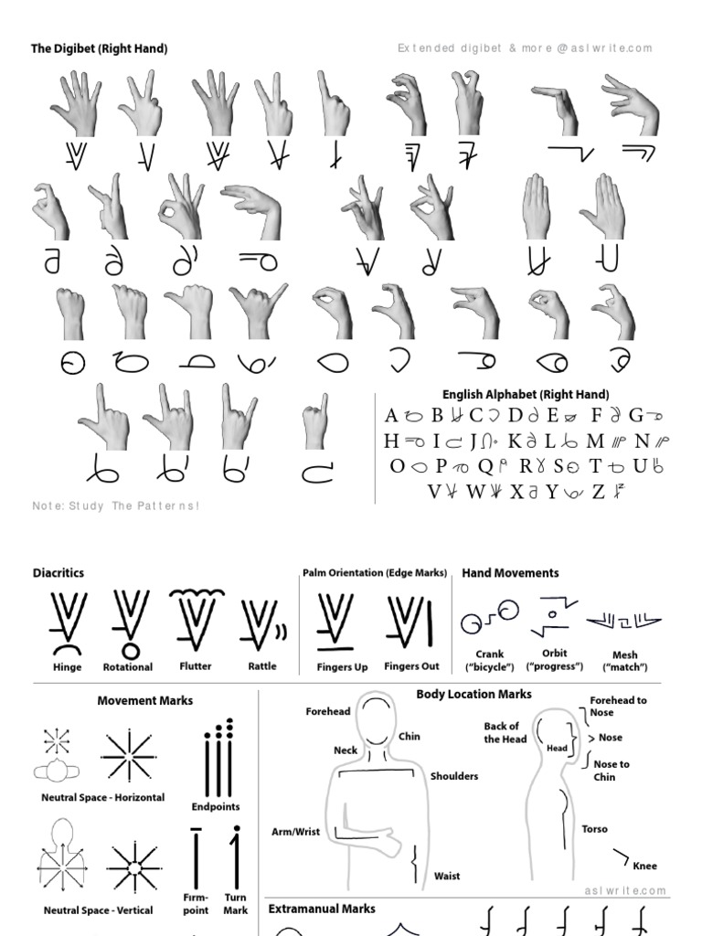 ASLwrite - Summary | PDF | Human Anatomy