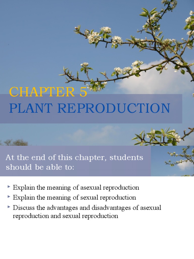 CHAPTER 5 Plant Reproduction | PDF | Plant Reproduction | Flowers