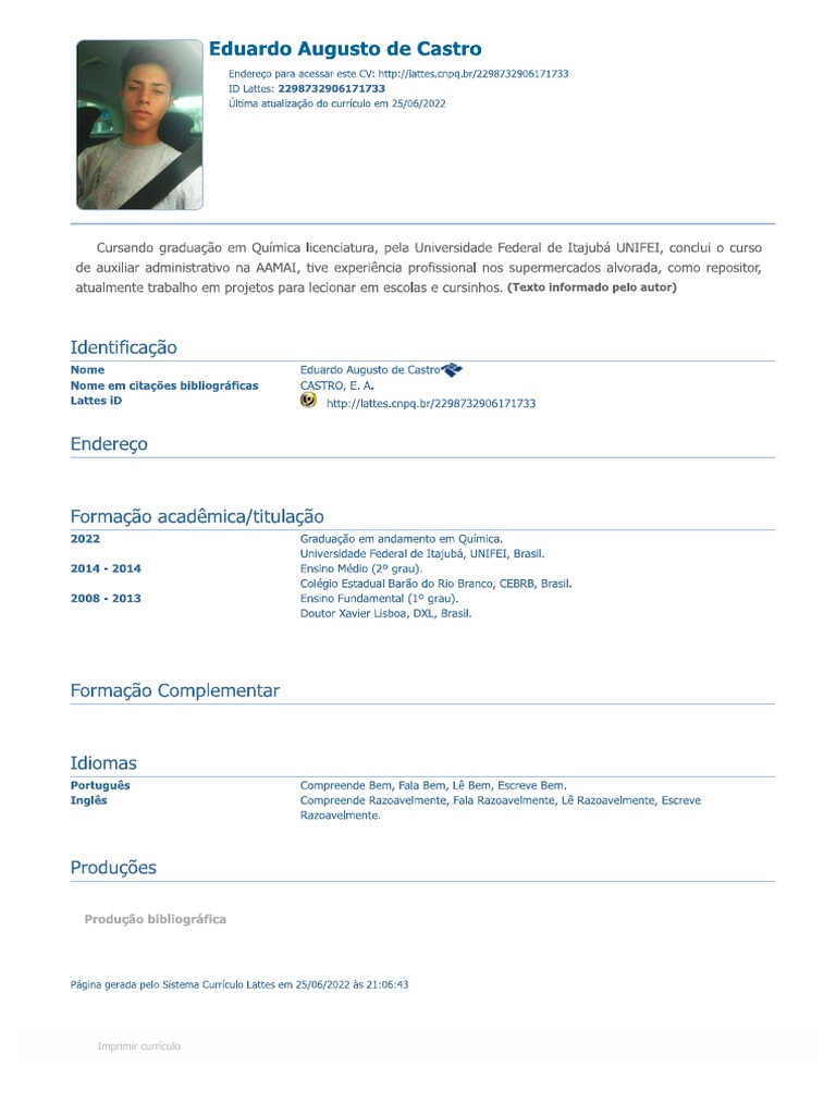 Curriculo Lattes | PDF