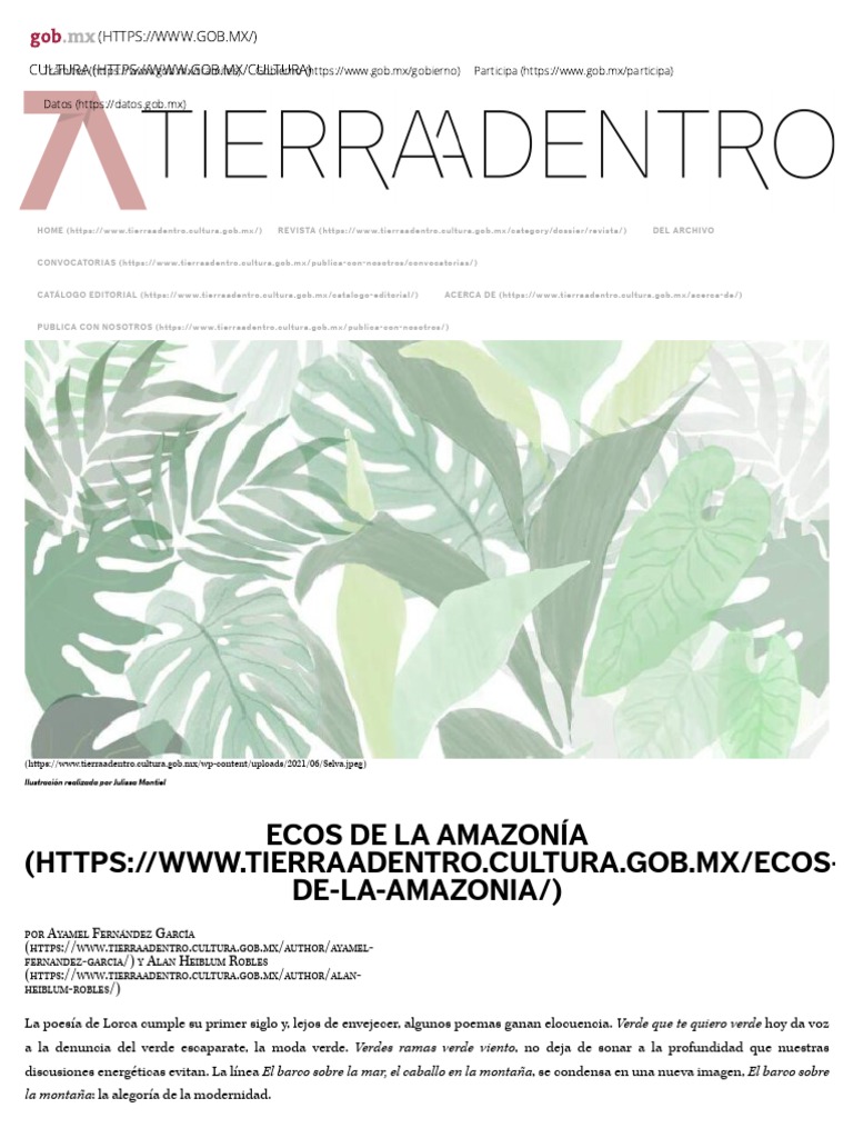 Ecos de La Amazonía | PDF | Selva