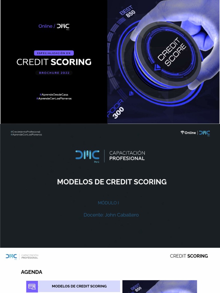 Modelos de Credit Scoring | PDF | Riesgo crediticio | Bancos