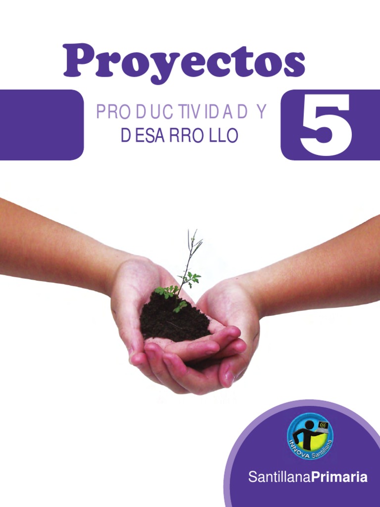 Proyectos Productividad y Desarrollo 5 | PDF