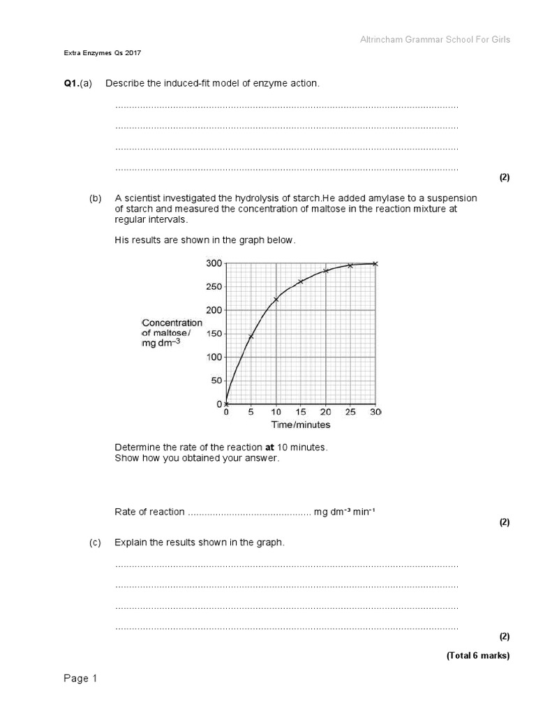 Extra Enzymes Qs and MS | PDF | Enzyme | Active Site