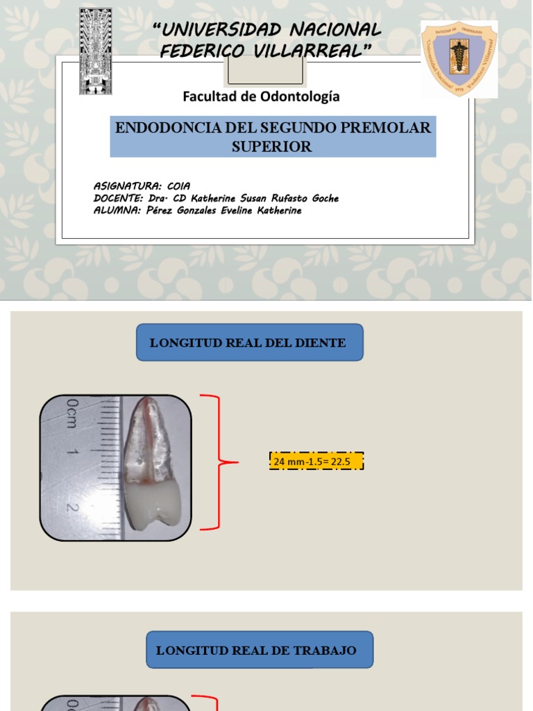 Tarea e - Coia-Endo-Perez | PDF