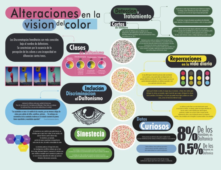 Infografia-Del-Daltonismo (Carlos-Infografia 4) | PDF
