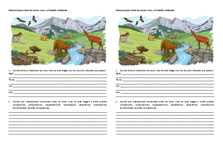 Interacciones Entre Los Seres Vivos y El Medio Ambiente Recuperacion ...