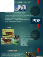 Air Rifle Pellet Ballistics Data | PDF | Projectiles | Flight