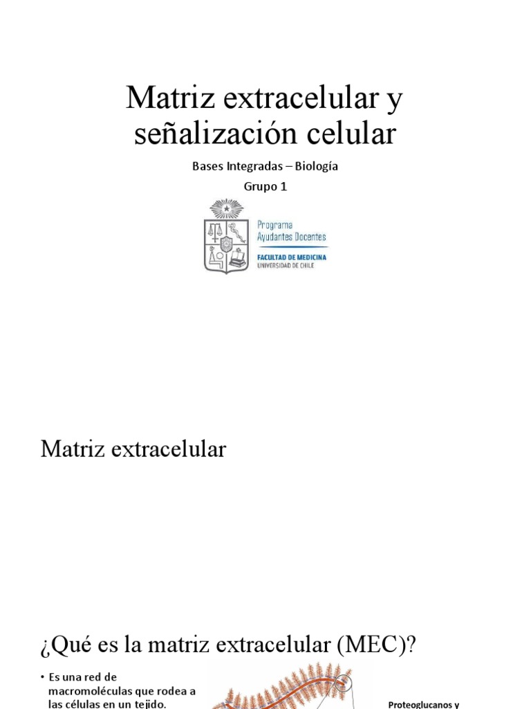 Matriz Extracelular y Señalización Celular | PDF | La matriz ...