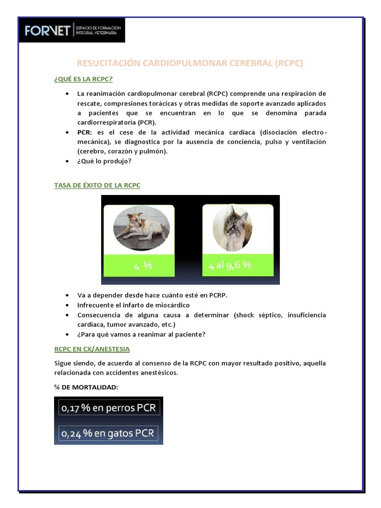 CLASE RESUCITACION CARDIOPULMONAR CEREBRAL RCPC. Javier Mouly | PDF ...