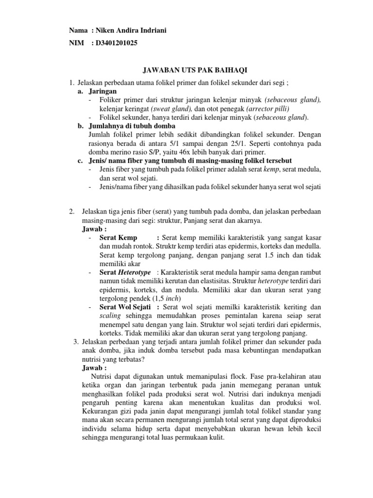 d3401201025 - Niken Andira - Jawaban Uts Pak Baihaqi | PDF d3401201025 - Niken Andira - Jawaban Uts Pak Baihaqi | PDF