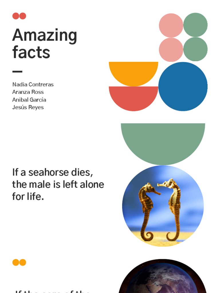 Amazing Facts PDF