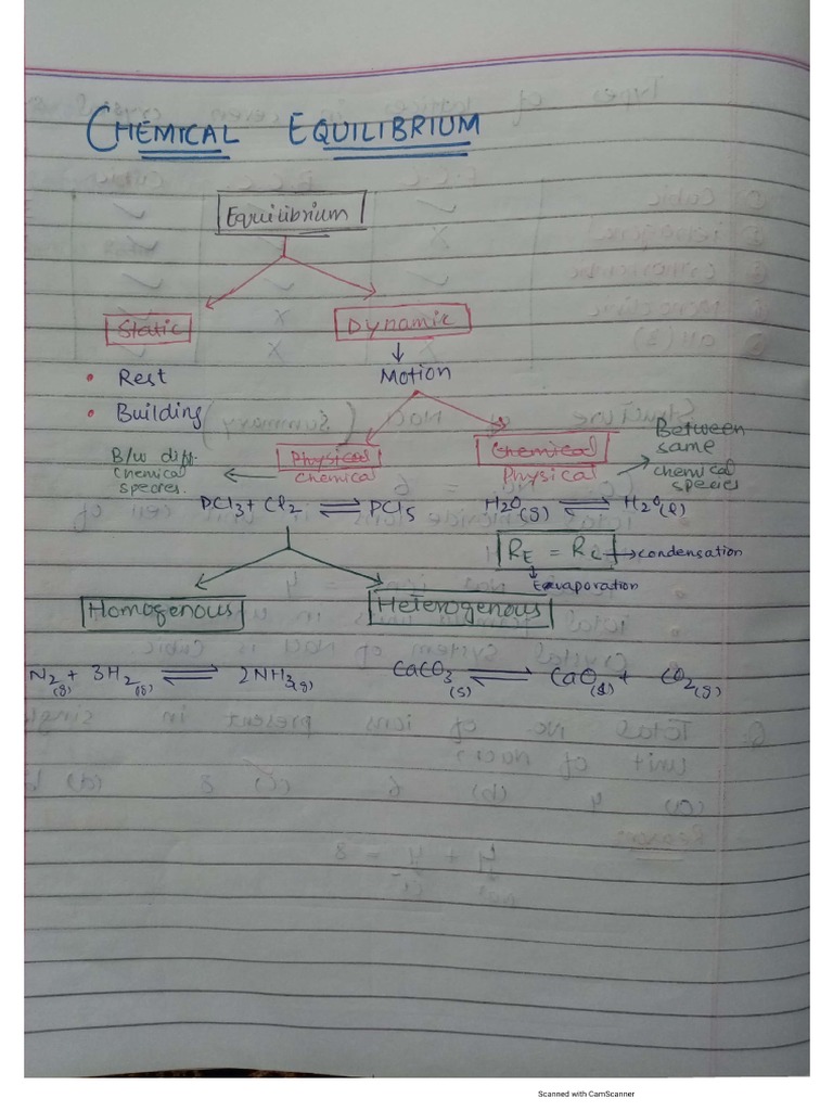 Chemical Equilibrium Hand Made Notes | PDF