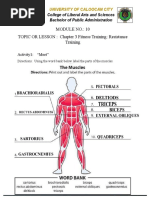 Muscle Fill in The Blank Worksheet | PDF | Joints | Soft Tissue