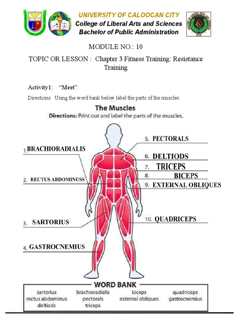 Module 10 | PDF | Arm | Anatomical Terms Of Motion