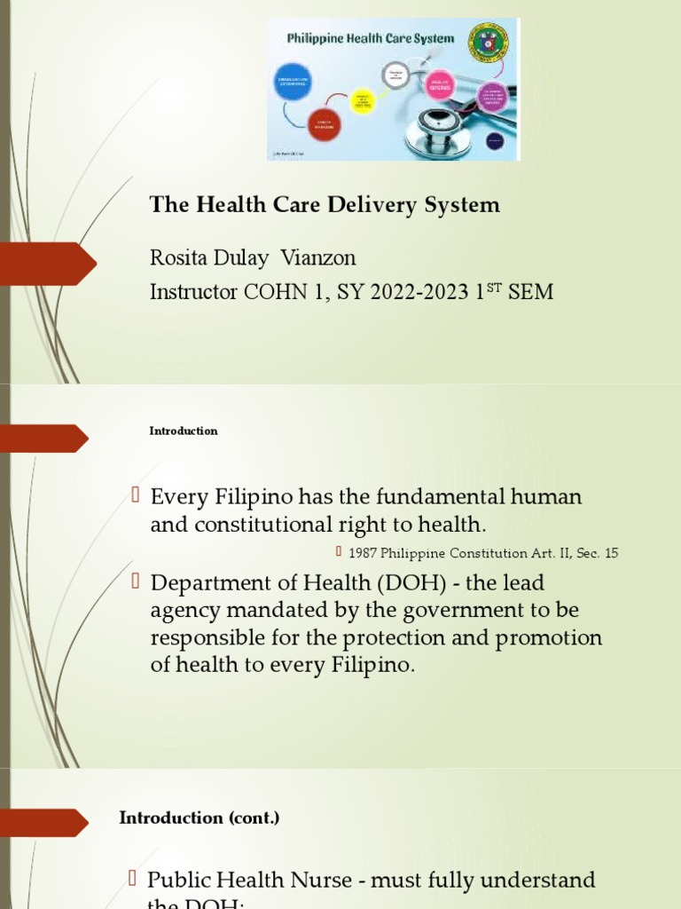 Overview of Health Care Delivery Systems | PDF | Millennium Development ...