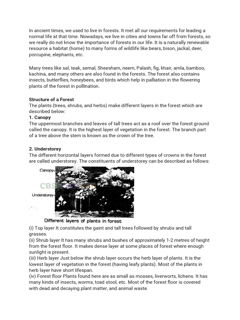 Forest Our Lifeline | PDF | Soil | Decomposition