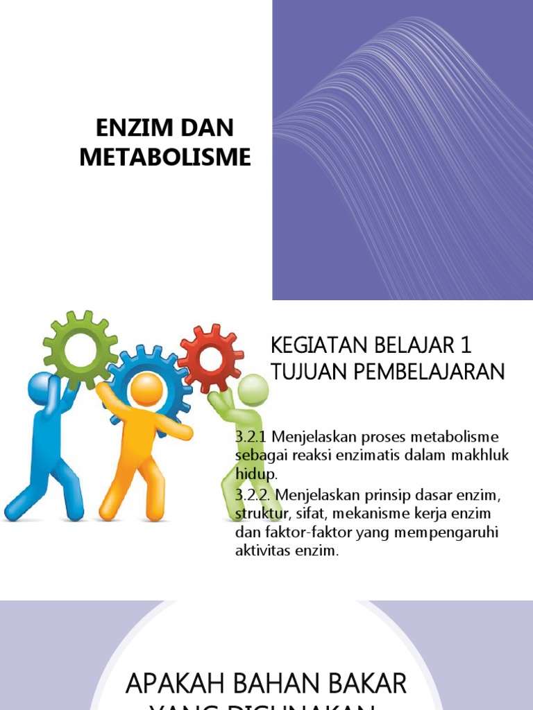 Enzim Dan Metabolisme | PDF