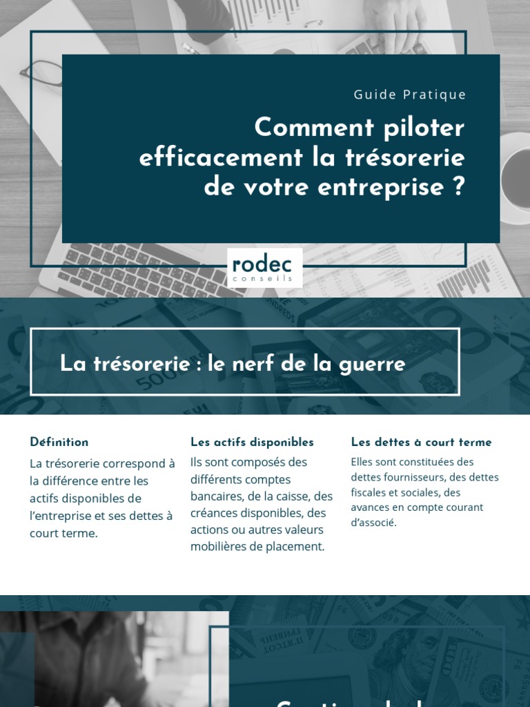 Piloter la trésorerie efficacement | PDF | Business | Dettes