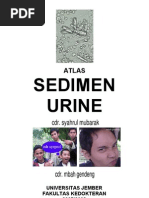 Atlas Sedimen Urin | PDF