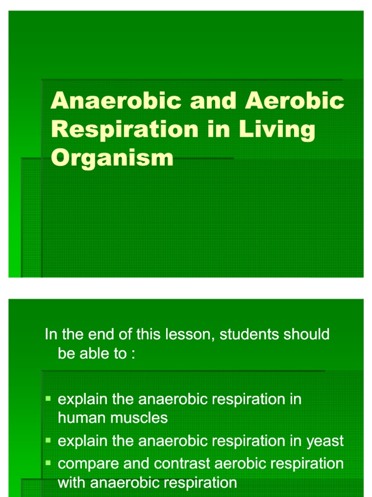 Anaerobic and Aerobic Respiration in Living Organism