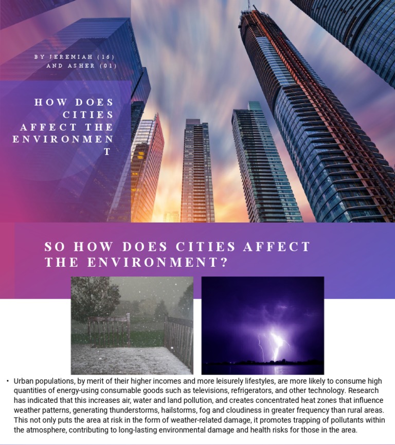 How Does Cities Affect The Environment | PDF