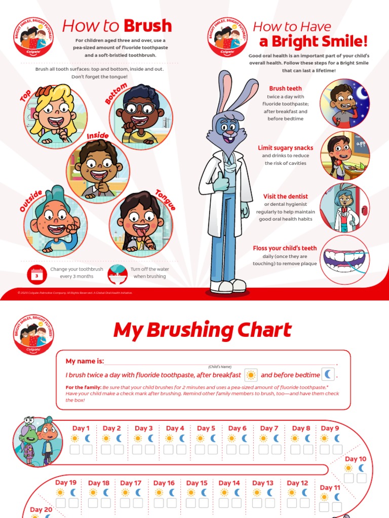 Brushing Brochure | PDF | Toothbrush | Dental Anatomy