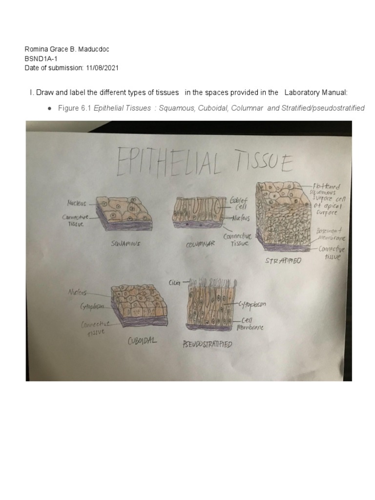 M2 - Acticity 2 - Post Lab | PDF