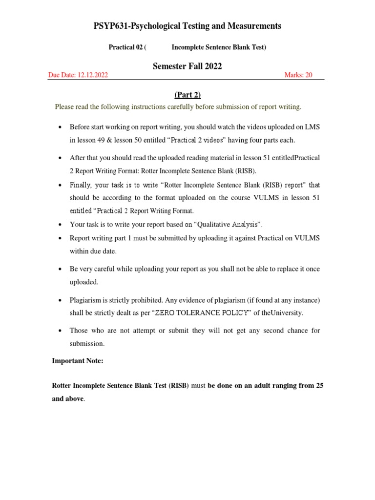 RISB Report Writing Guidelines | PDF | Career & Growth | Computers
