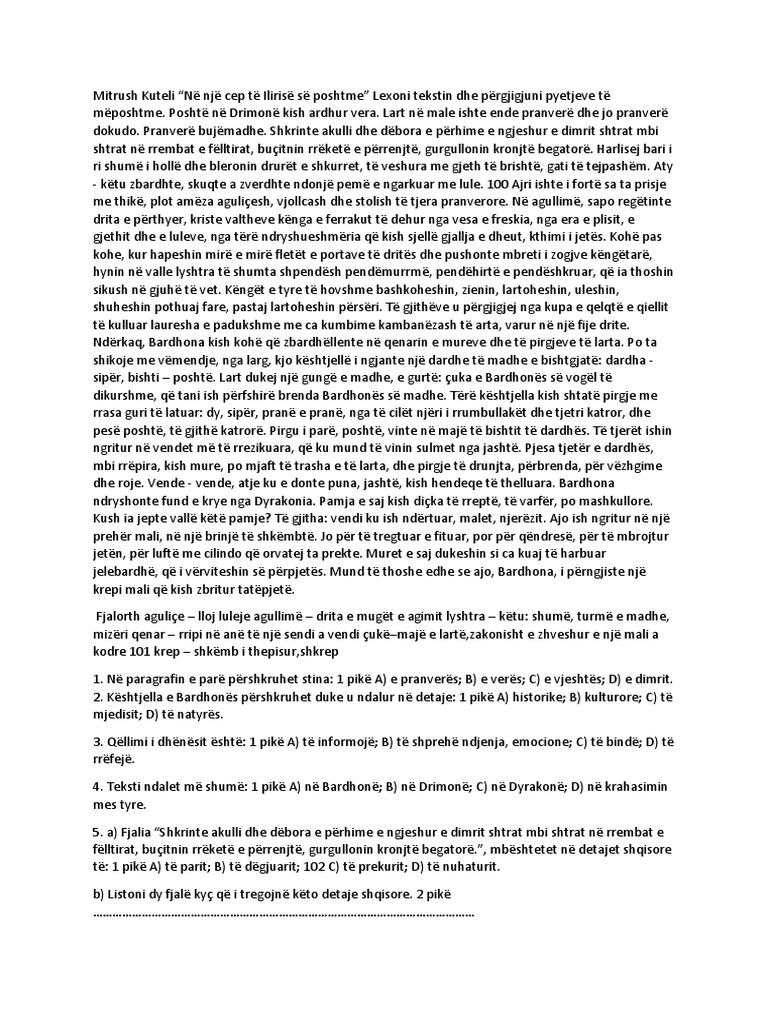 Test Gjuhe Shqipe 12 Periudha 1 | PDF
