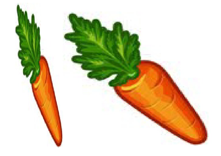 Morcov Gros Si Subtire | PDF