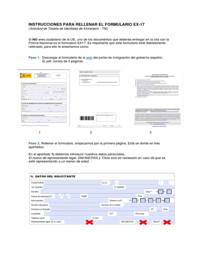 Instrucciones Ex17 | PDF