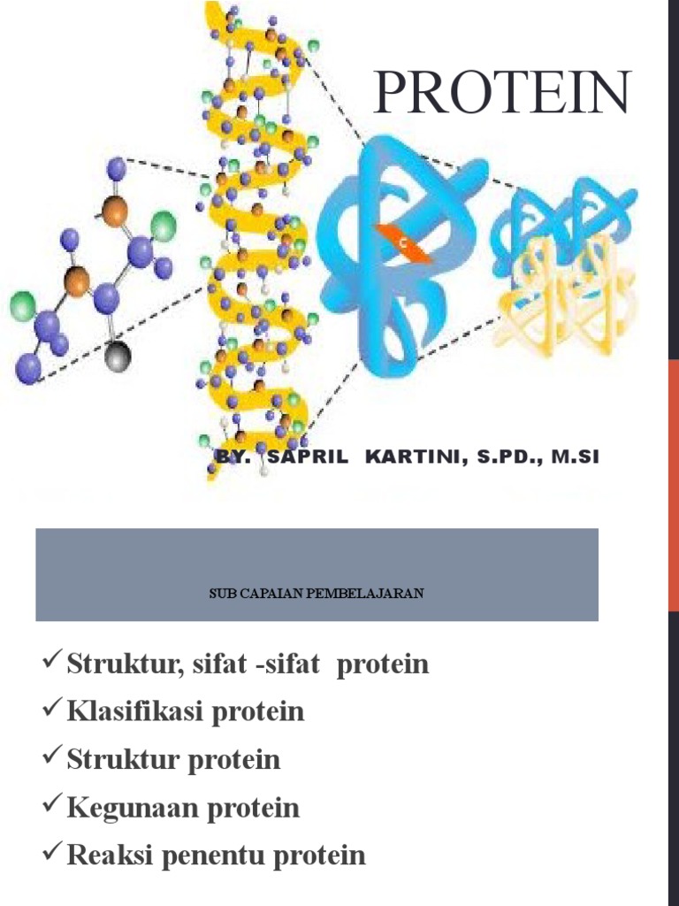 Protein | PDF | Sains & Matematika
